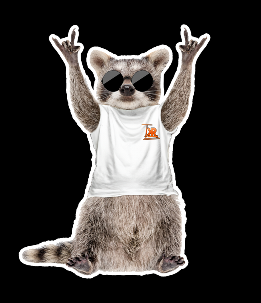 Rocking Racoon Sticker – Kiran-Shop